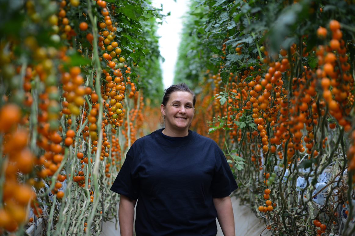 Collaborate with GOODMORNING | Good for your company