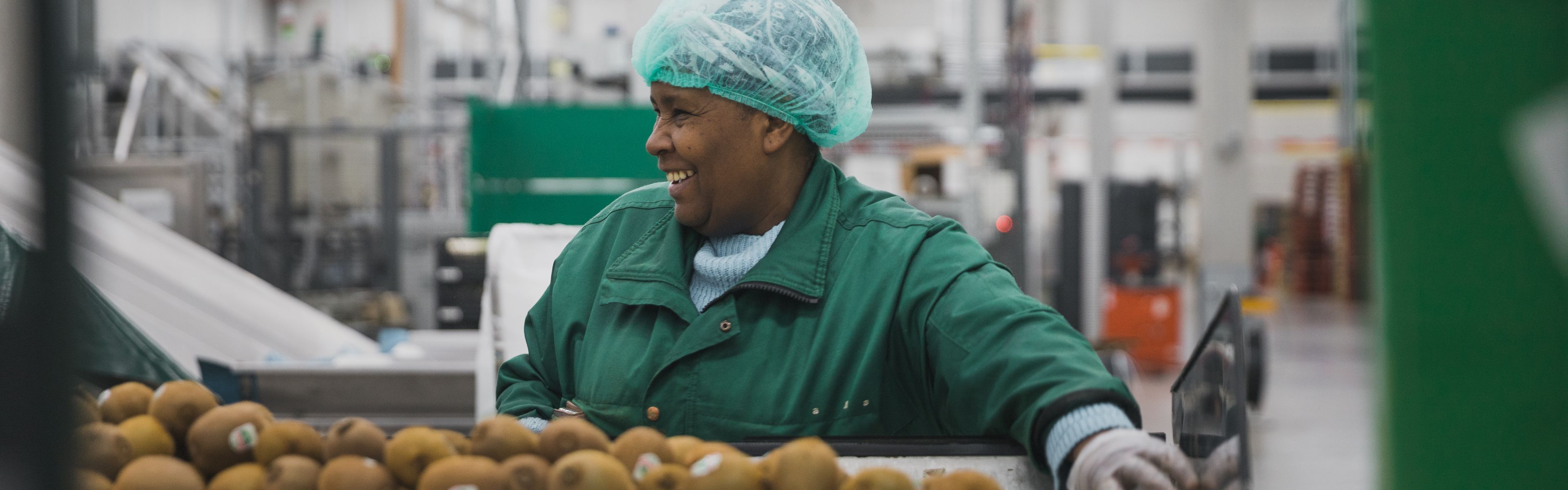 Sectors - Goodmorning